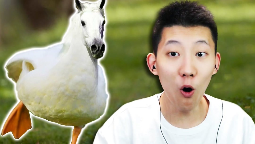 屌德斯同款,动物融合模拟器,动物能融合成什么呢?鲤鱼Ace同款