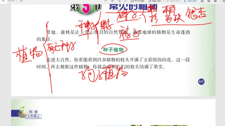 七上科学植物的分类讲解