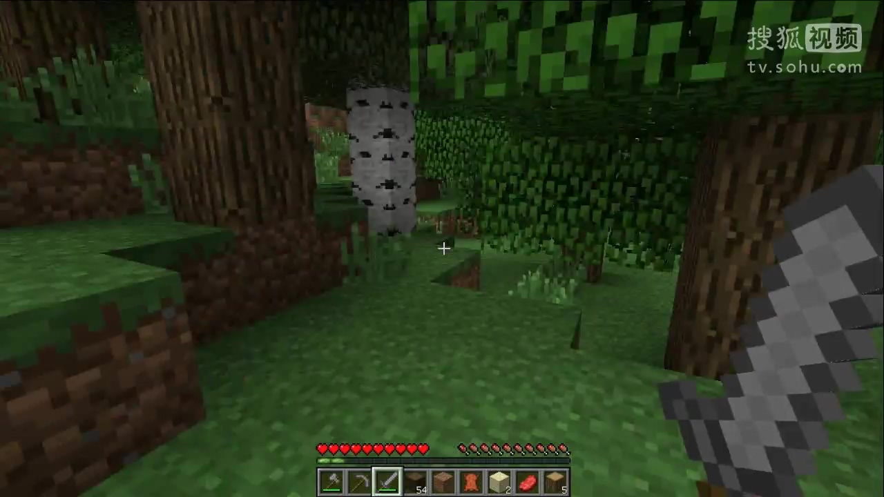 大海解说mc 我的世界 生存实况第一期 地下避难所