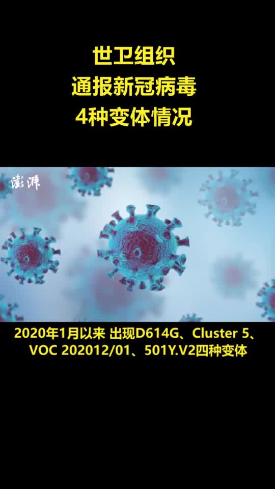 世卫组织通报新冠病毒4种变体情况:会导致更高发病率