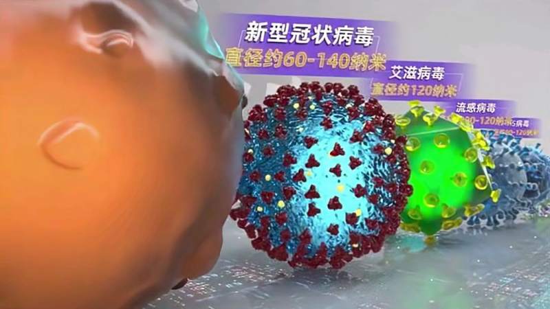 病毒细菌大小的比较