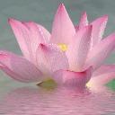 朱老师的初心步履 