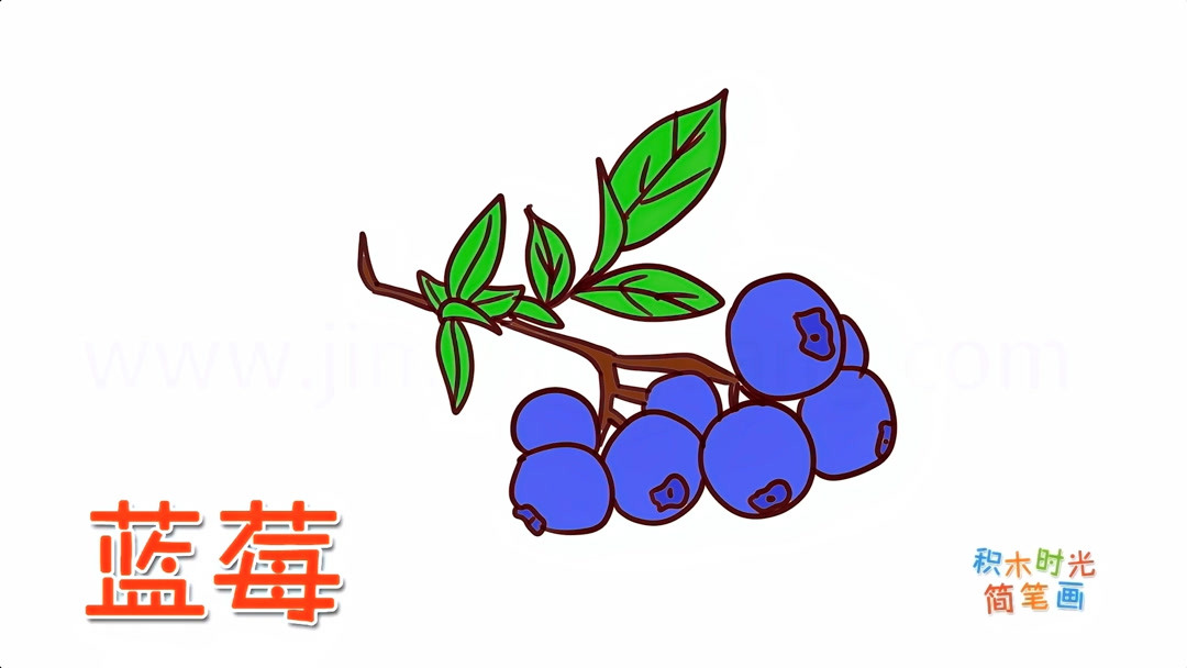 水果简笔画教程,刚成熟的蓝莓简笔画