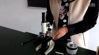 练习使用显微镜 生物