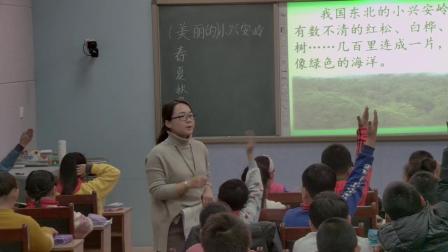 三年级上册《美丽的小兴安岭》教学实录1