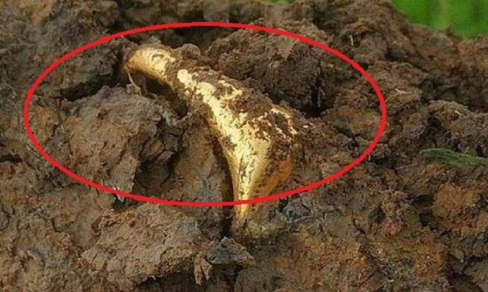 工人无意挖出300年前金戒指,专家估值达200万,博物馆却拒收!