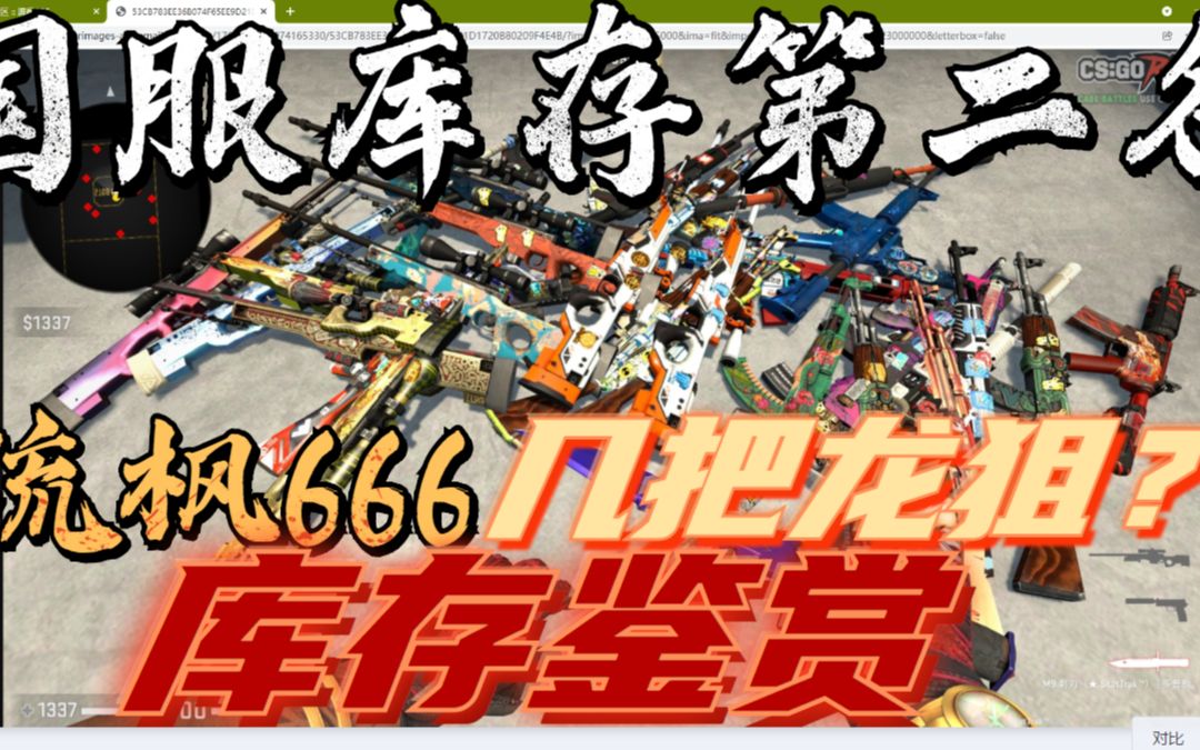 【CSGO皮肤】国服库存第二大佬的号里有几把龙狙?