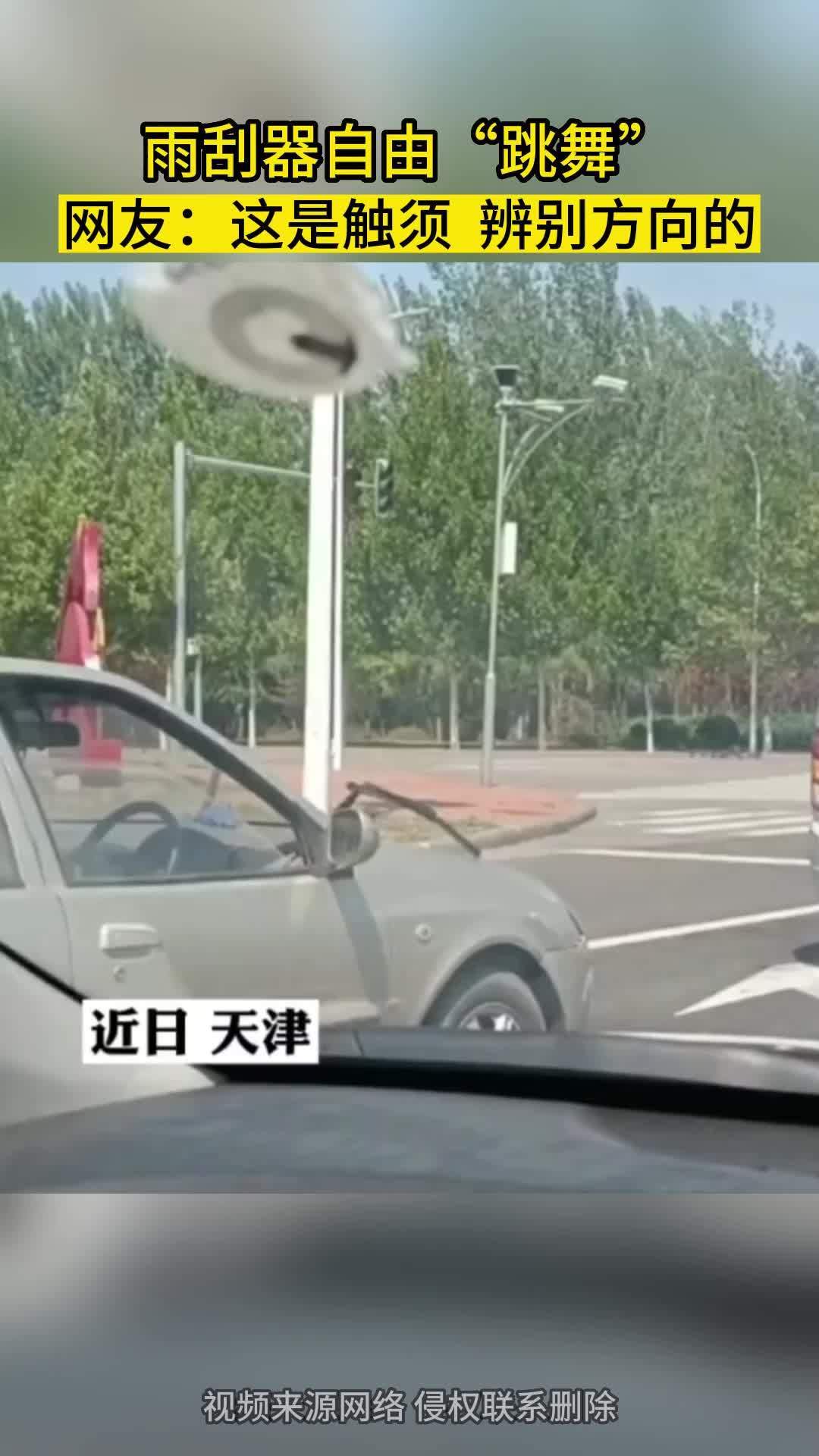 雨刮器自由“跳舞”,网友:这是触须,辨别方向的
