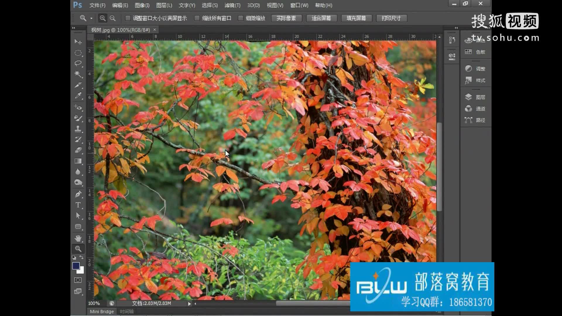 PS教程PS入门教程PS2015PS抠图PS调色PS合成P图PS动画平面...