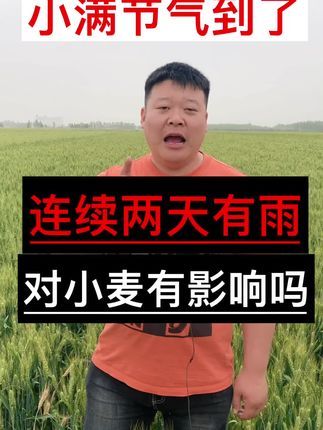 小满节气小满节气