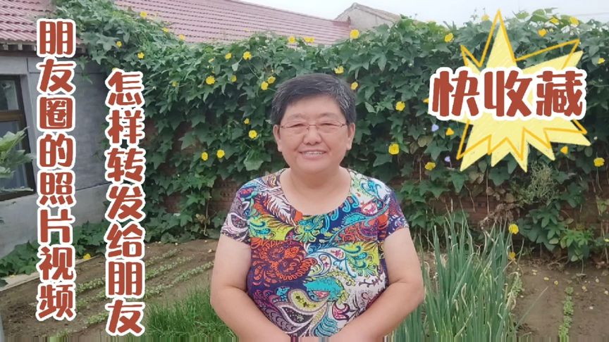 微信朋友圈照片视频,怎样转发给朋友,怎样回到手机相册,去看看