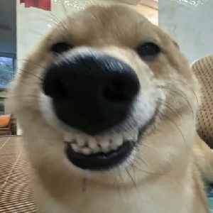 潮玩社大表哥 