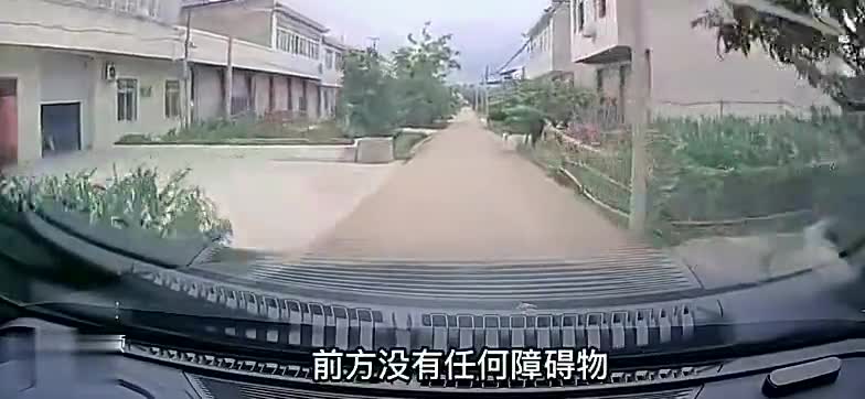 比亚迪宋低速主动刹车,没有任何预兆和防备,太突然了