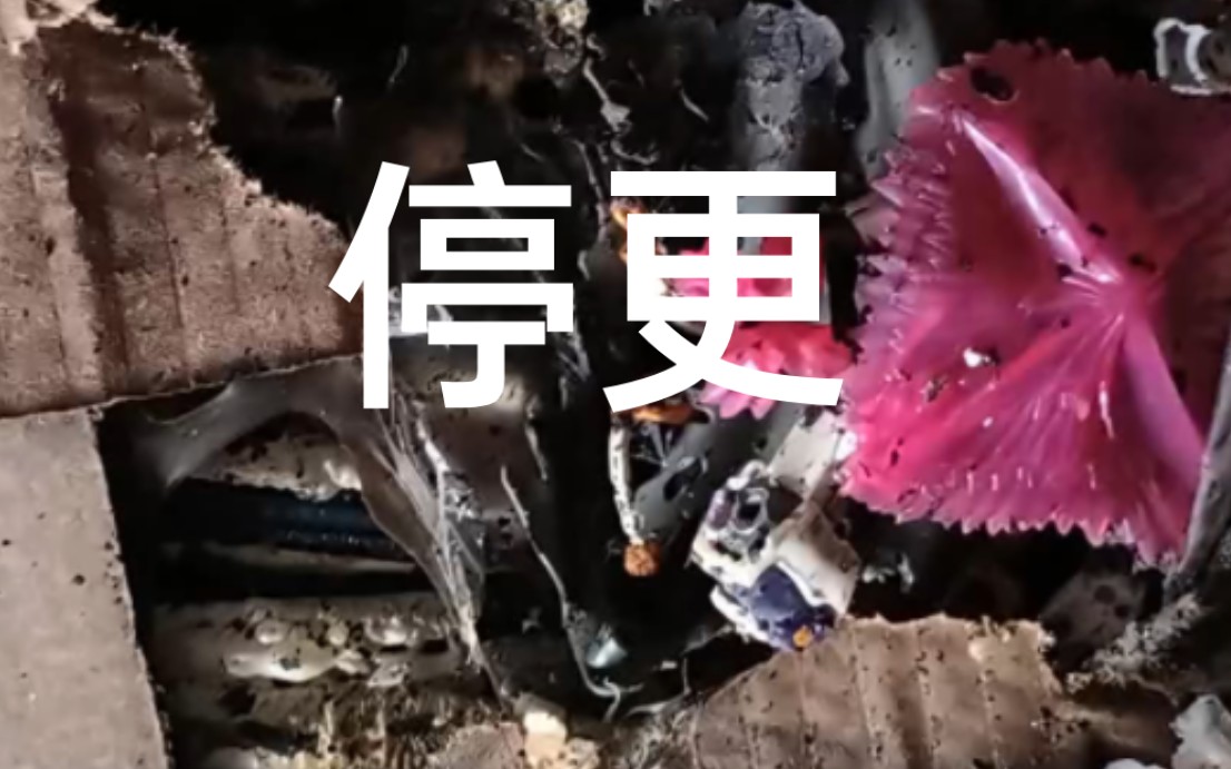 [停更]房间失火,所有高达模型已经烧毁,暂时停更。
