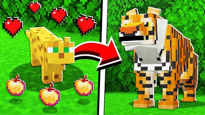 我的世界全新动物模组更新,猎鹰,老虎,巨型蜂王登场