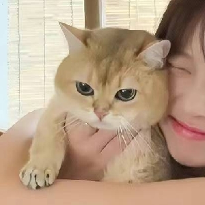 佞呆呆北鼻 
