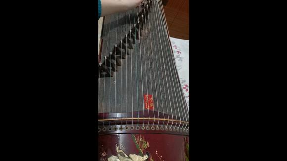 古筝曲《虞美人》教学视频