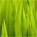 上山打老虎abcde 