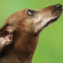 超级好看的快爆视频 