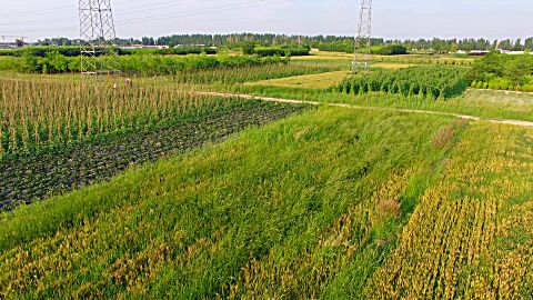 ...社会化服务体系·银川管理中心~宁夏顺城昊现代农业发展有限公司...