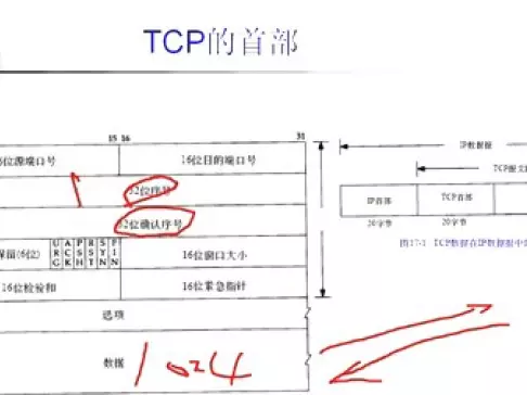 11 TCP-IP基础视频教程 tcp控制协议