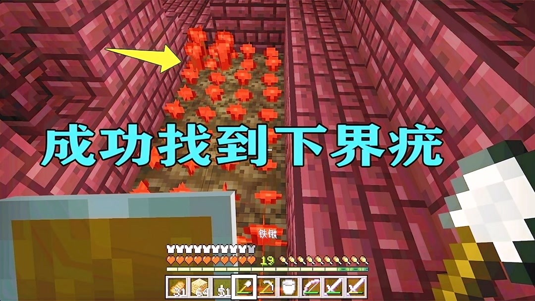 我的世界91:下界疣这么好找?下个楼梯就遇到了,都挖回去种起来