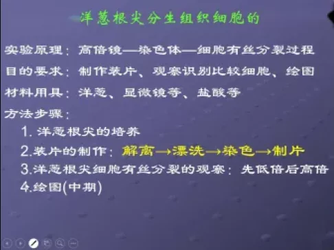 细胞增殖 第4课时(高码)