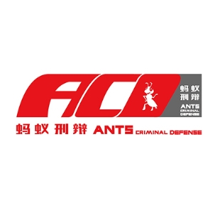 蚂蚁刑辩 