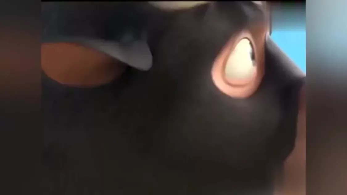 脑筋急转筋:地球自转一周需要24小时,自转半周需要多久?