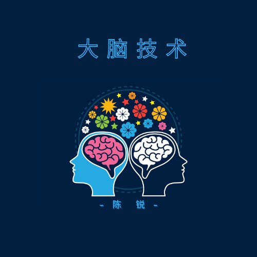 大脑技术 