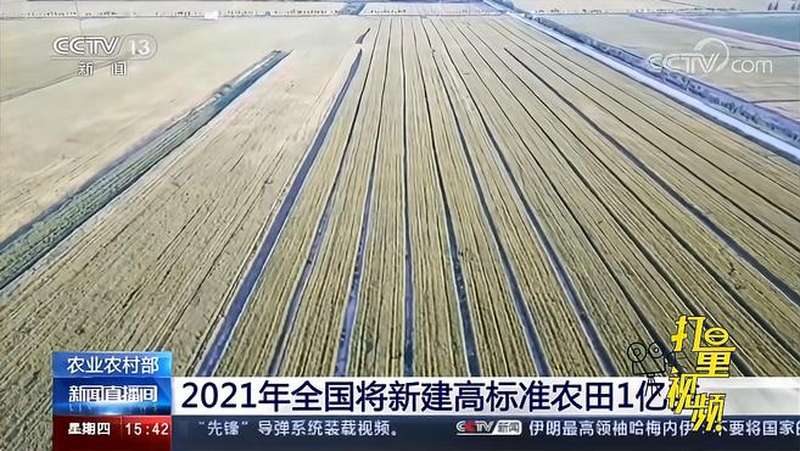 农业农村部:2021年全国将新建高标准农田1亿亩|新闻直播间