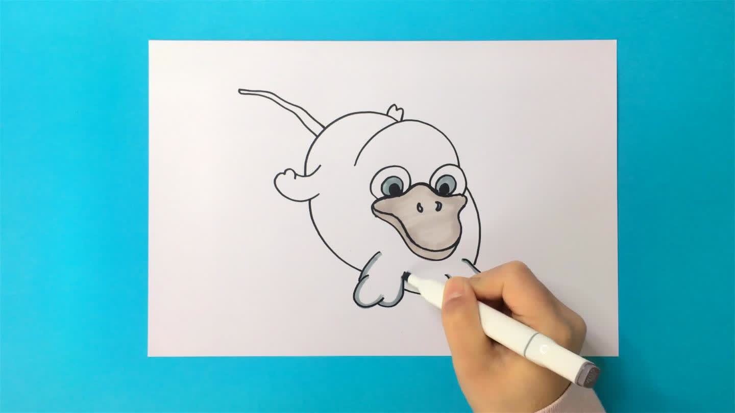 博卡简笔画:扁嘴兽好可爱,还有萌萌的大眼睛,我们一起画吧