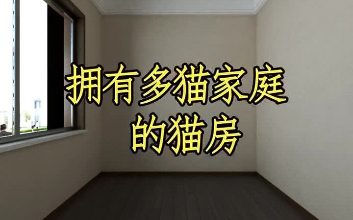 拥有多猫家庭的猫房 宠物家居设计