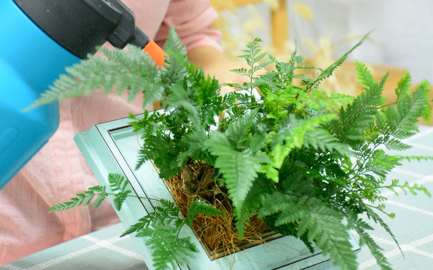 绿植种到相框里,这样的创意美翻了,简直就是一幅立体的画儿