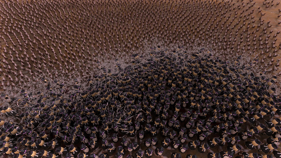 史诗战争模拟器 一个大美女如何对战5000只大公鸡