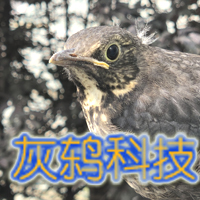 灰鸫科技 