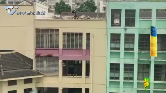 工人把桌椅从学校楼顶扔下,市民:扰民又危险