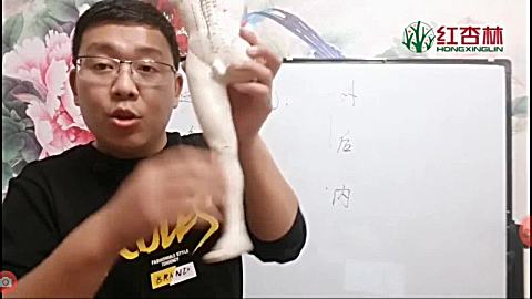 气血疏通小腿全息原理(一)完整版