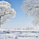 爱吹笛子の女娲昊然 