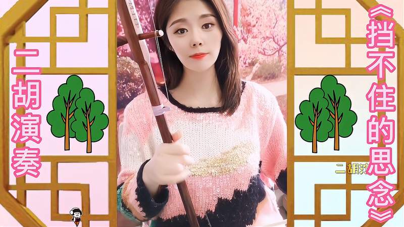 二胡演奏《挡不住的思念》