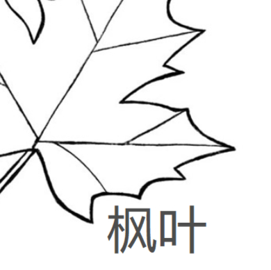 UG模具设计枫叶 