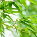 时光纵然飞逝 