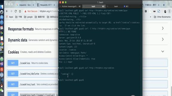 Python教程:第601讲,requests的使用2
