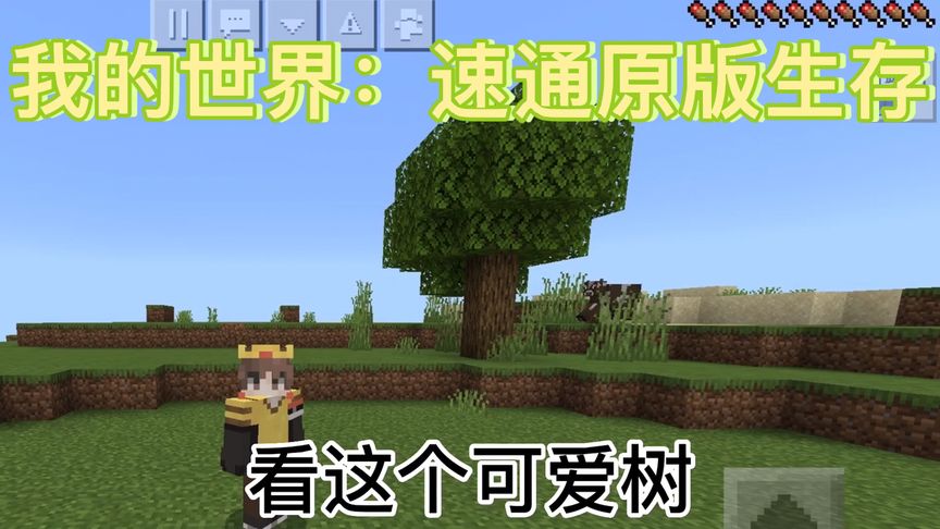 我的世界:速通原版生存