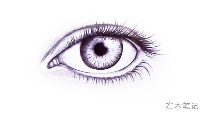 儿童绘画教程、手绘一只逼真的眼睛、通向心灵深处