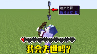 我的世界:不灵姐说模组 第167集 当玩家只有一滴血时,朝自己射治疗箭...