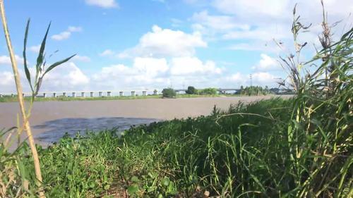 这才叫原始生态抓鱼,都是值钱靓货,一条就值回一天所有成本损耗