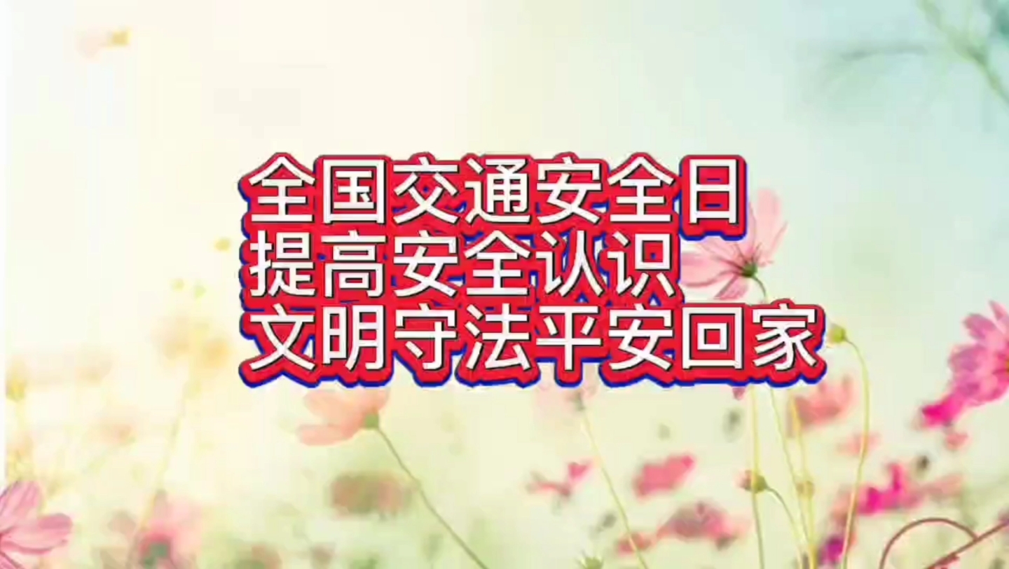 全国交通安全日提高安全意识文明守法平安回家