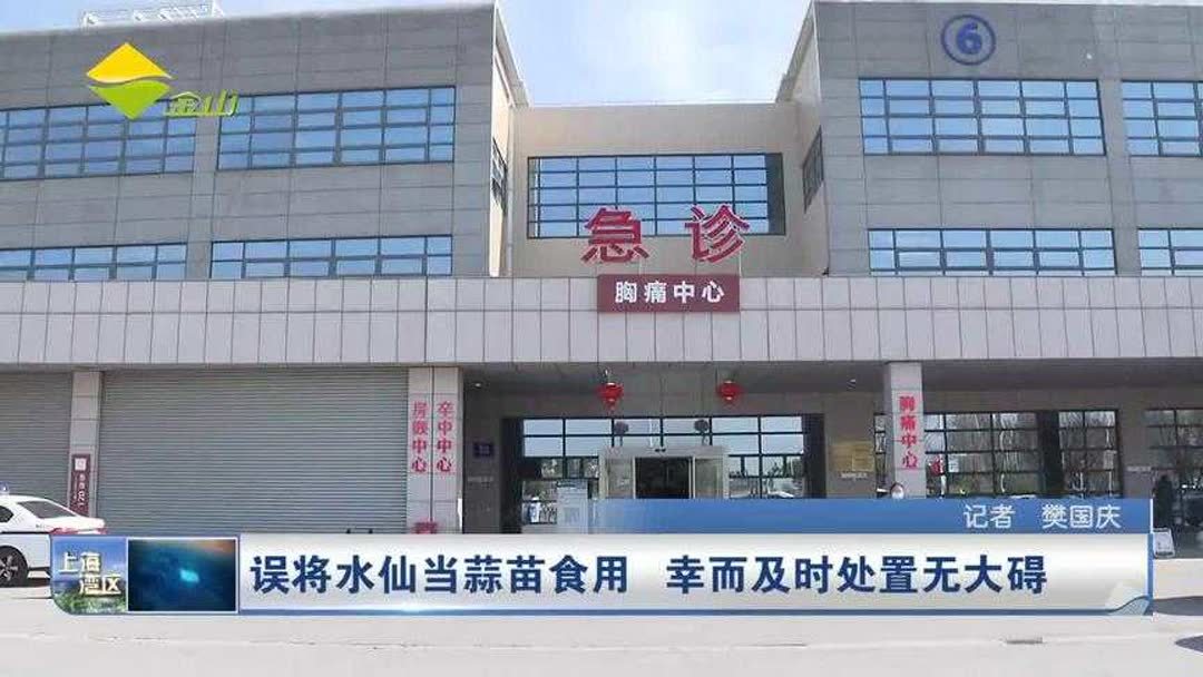 误将水仙当蒜苗食用 幸而及时处置无大碍