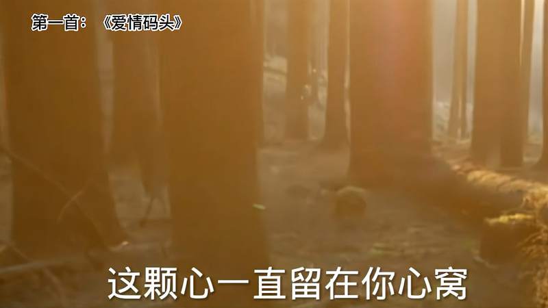 经典音乐合集推荐,进来听一听!